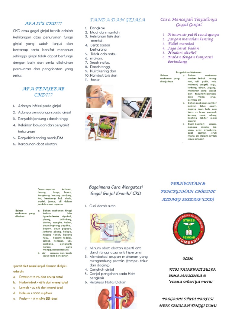 Leaflet CKD | PDF