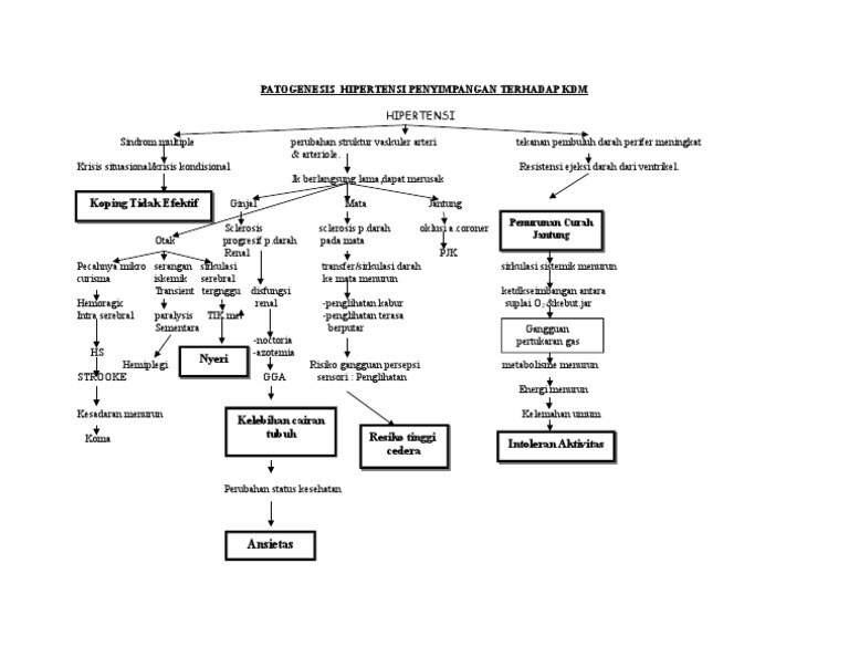 Pathway HT | PDF