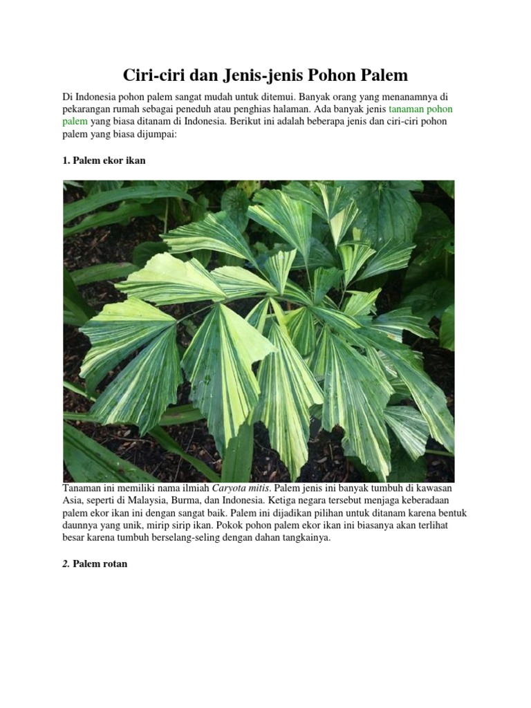 Palem | PDF | Griya & Taman | Kesehatan Holistik