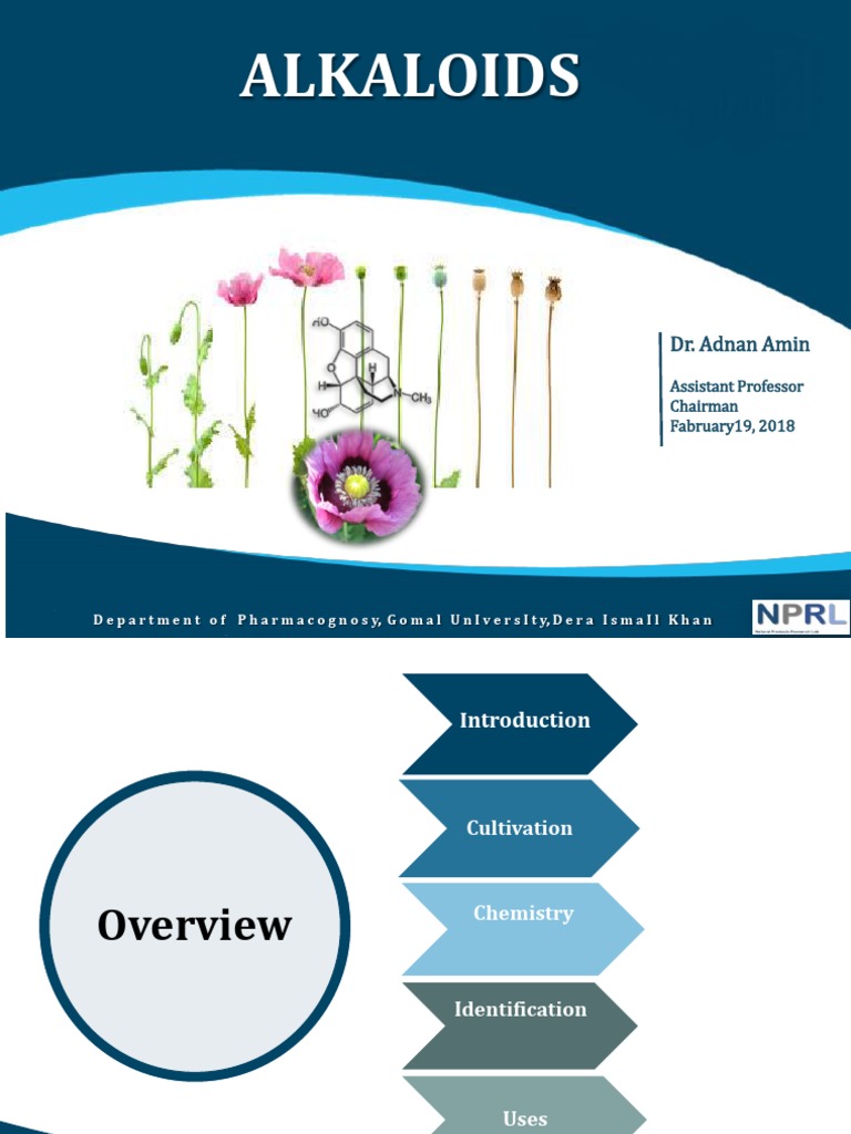 Alkaloids PDF | PDF | Alkaloid | Plants