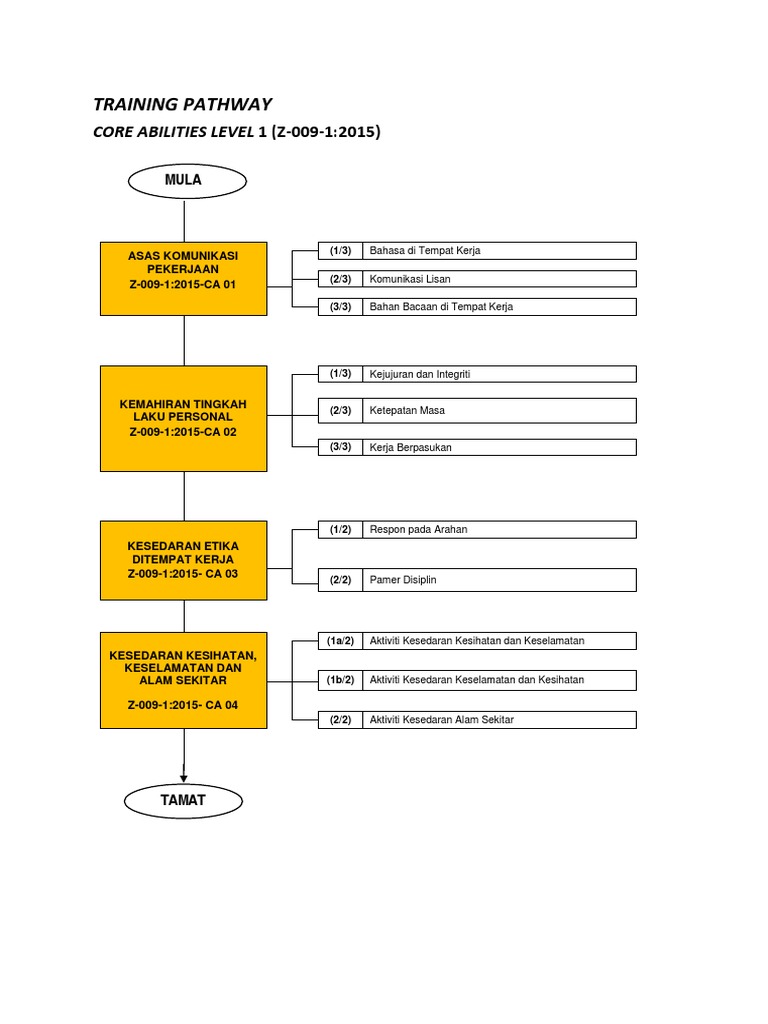 Training Pathway Ca Level 1 | PDF