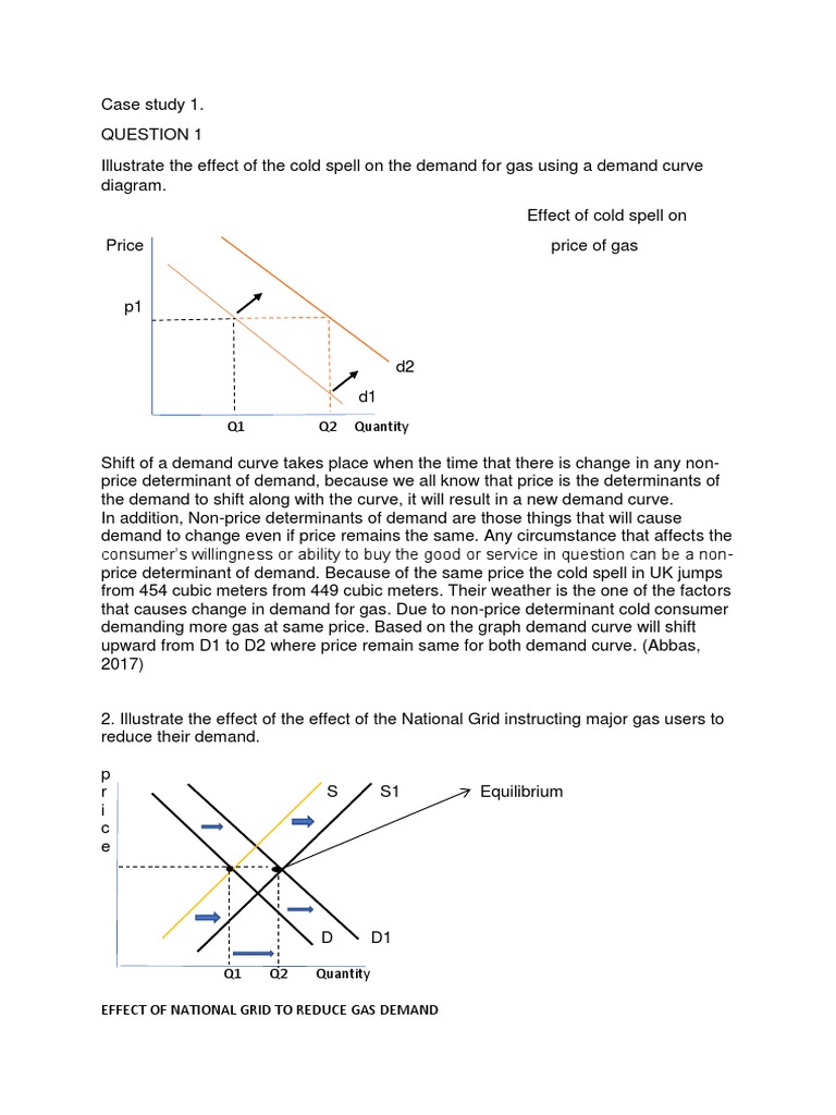 Case Study 1 | PDF | Supply And Demand | Price Elasticity Of Demand