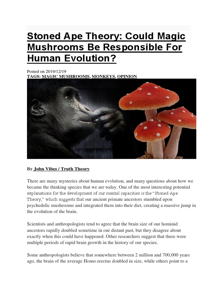 Stoned Ape Theory | PDF | Human Evolution | Ape