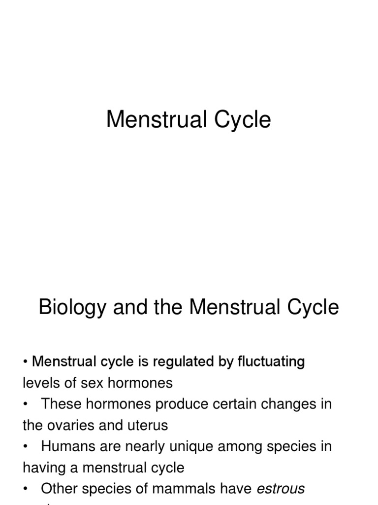 Menstrual Cycle | PDF | Menstrual Cycle | Animal Reproductive System