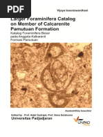 Dunham 1962 AAPG Classification of Carbonate Rocks | PDF | Limestone ...