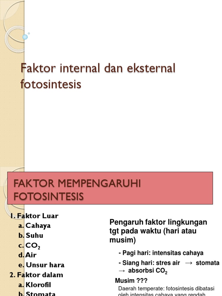9 (Faktor Internal Dan Eksternal) Fotosintesis | PDF