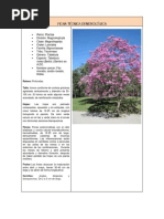 Ficha de Vegetacion | PDF | Arboles | Hoja