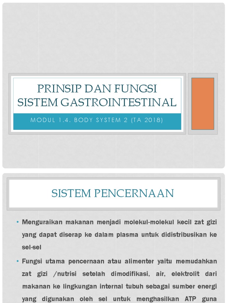Prinsip Dan Fungsi Sistem Gastrointestinal | PDF