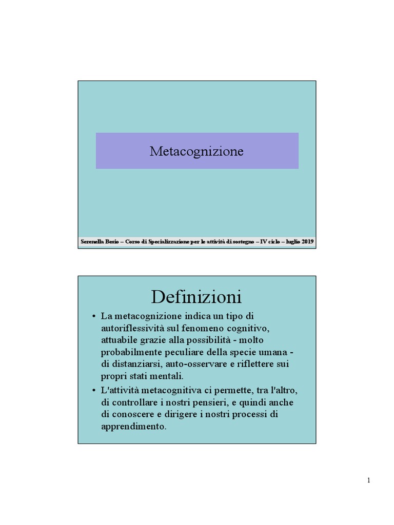 Didattica Metacognitiva | PDF