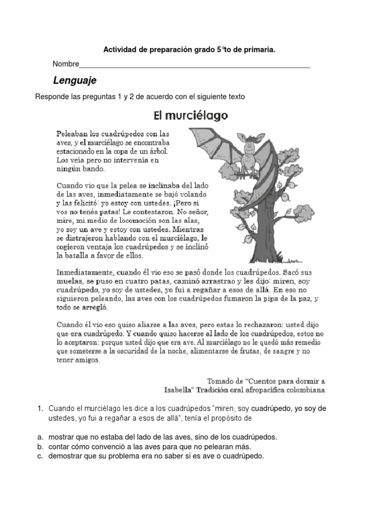 Grado 5to | PDF | Aves