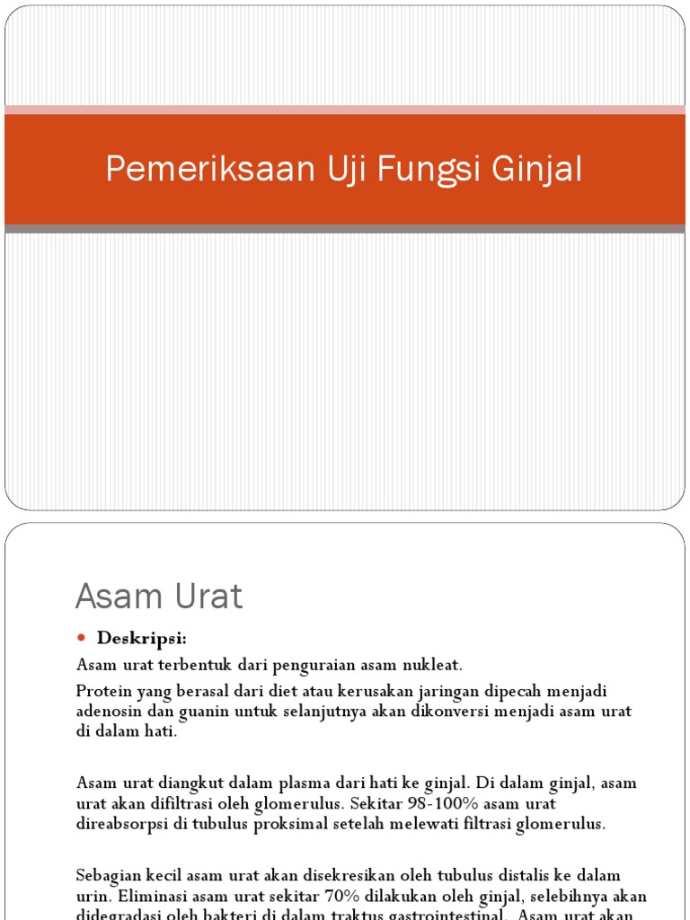 Pemeriksaan Uji Fungsi Ginjal | PDF