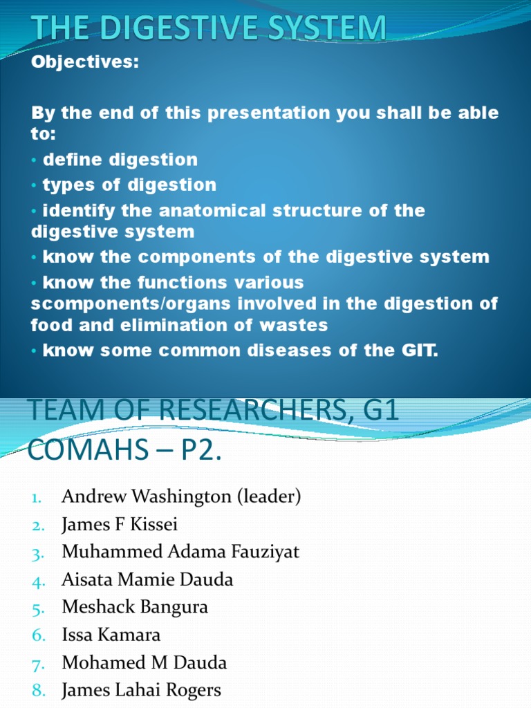 Presentation On The Digestive System | PDF | Small Intestine | Digestion