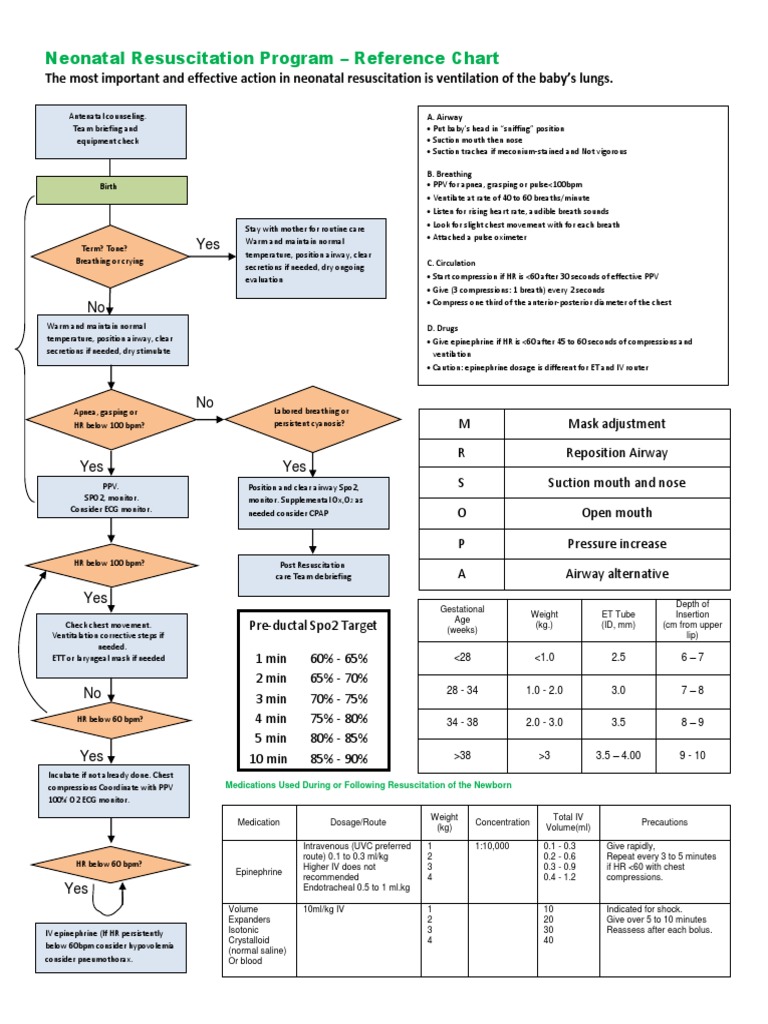 Neonatal Resuscitation Program | PDF | Cardiopulmonary Resuscitation ...