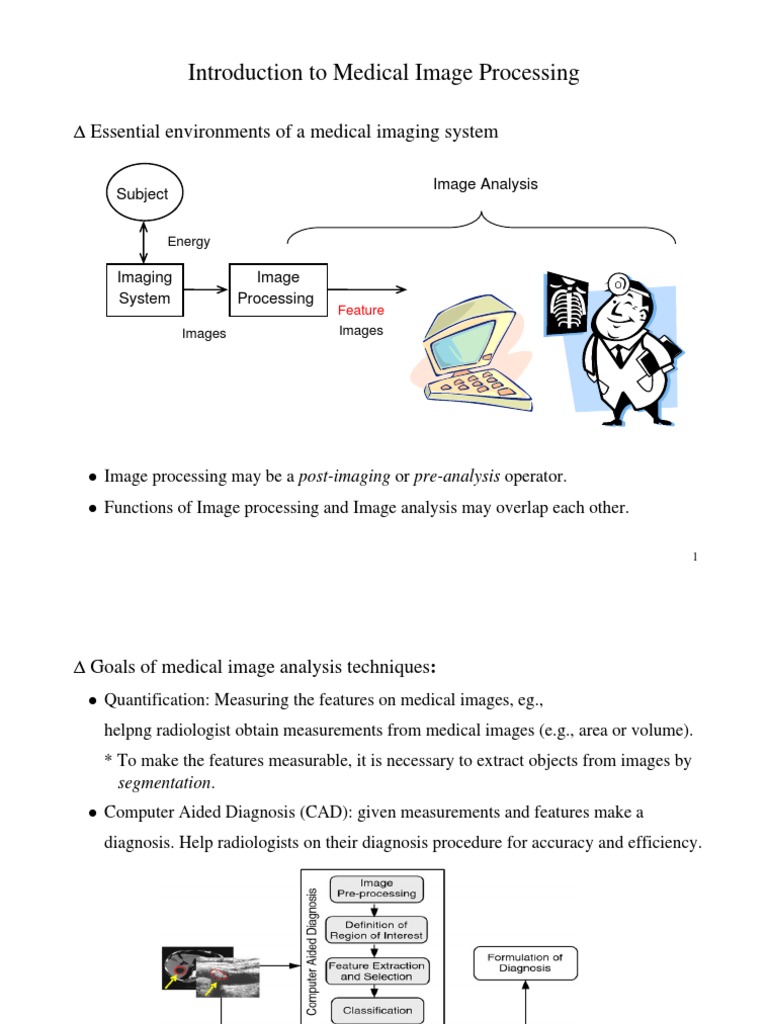 Medical Image Processing Overview | PDF | Image Segmentation | Digital ...