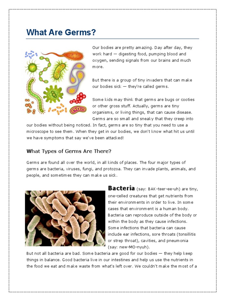 Kids' Guide to Germs | PDF | Microorganism | Human Body