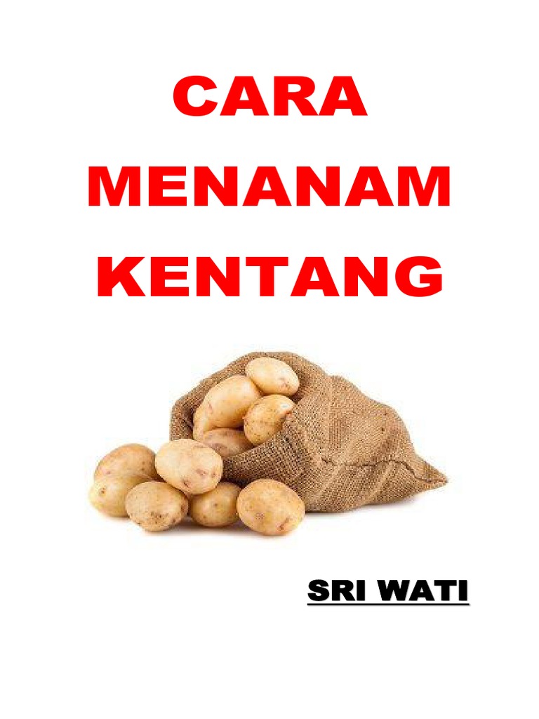Cara Menanam Kentang Untuk Anak | PDF
