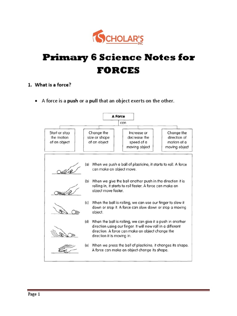 Primary 6 Forces Notes | PDF | Lever | Friction