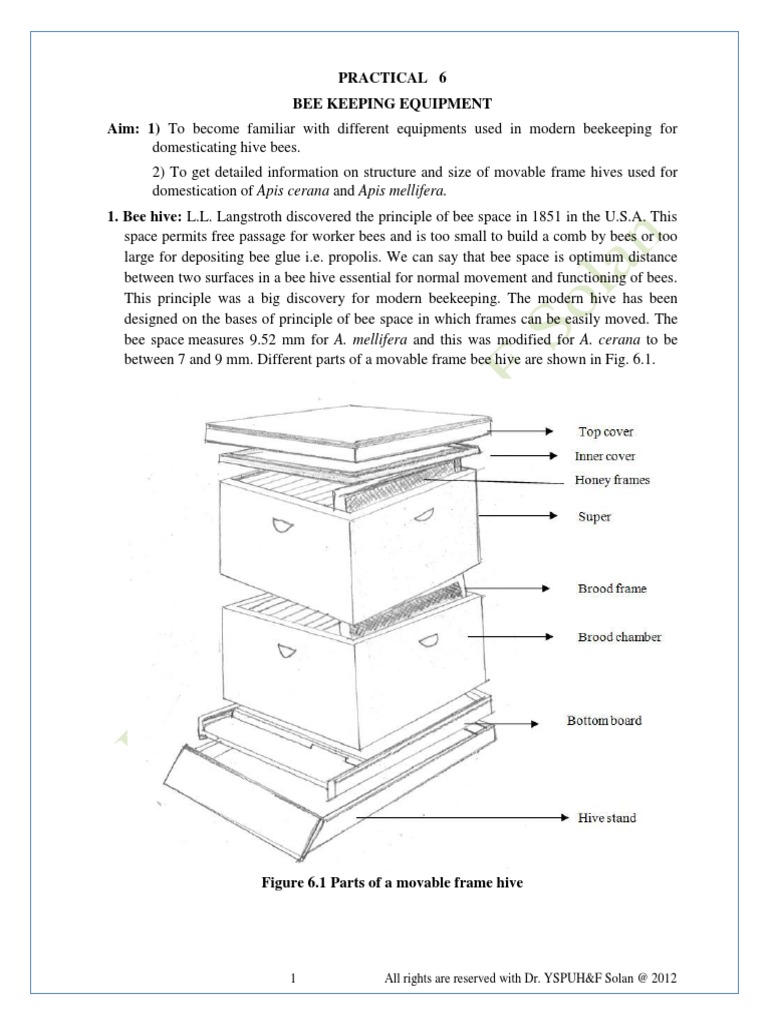 Prac | PDF | Beehive | Honey Bee