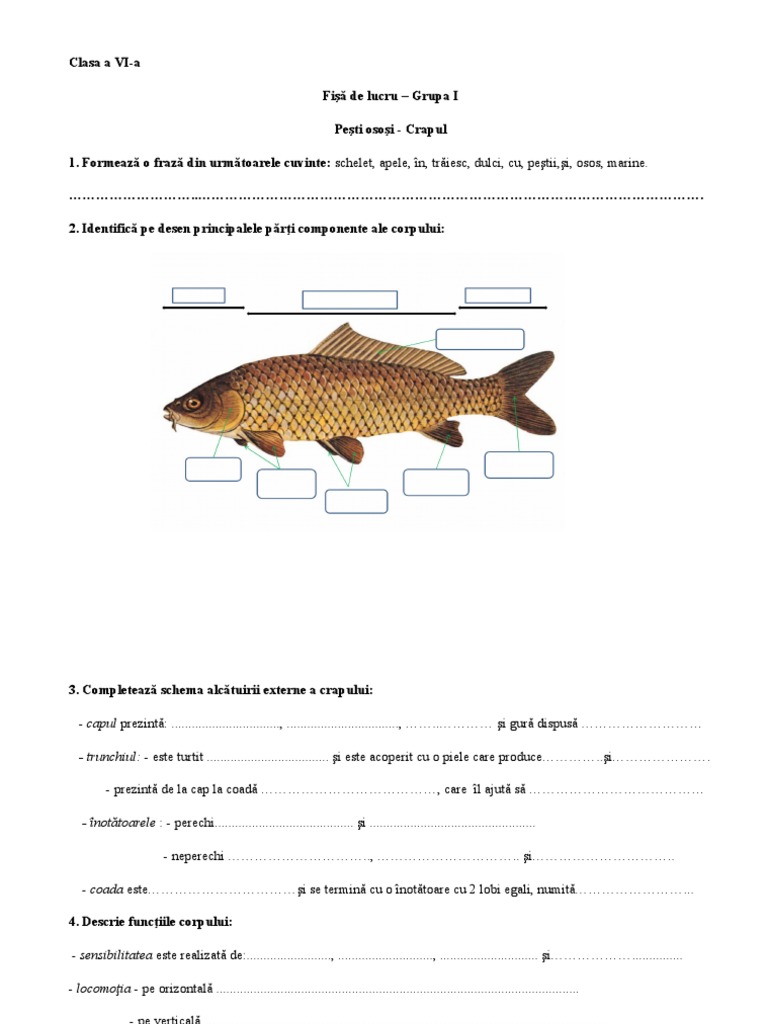 Fisa de Lucru Pesti Ososi | PDF