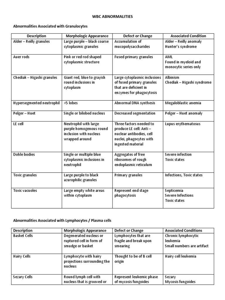 WBC AbN Morphology | PDF | White Blood Cell | Cell Nucleus