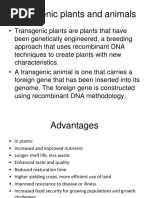 Enviropig: Genetic Modification Process | PDF | Genetically Modified ...