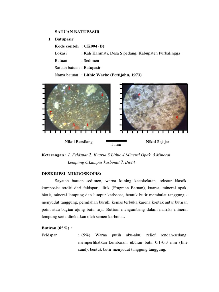 Deskripsi Petrografi Print - PKL Cindi | PDF | Sains & Matematika