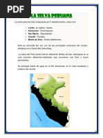 Las 6 Especies de Flora de La Costa de Perú Más Importantes | PDF ...