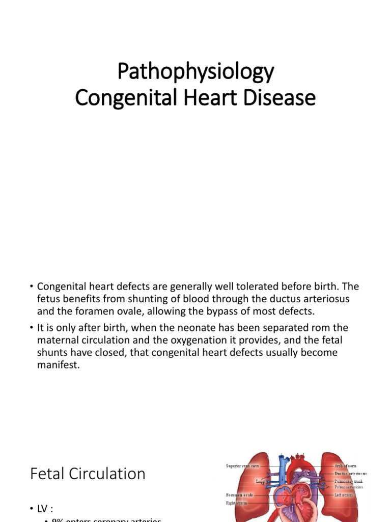Pathophysiology Congenital Heart Disease-1 | PDF | Congenital Heart ...