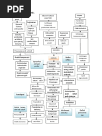Pathway Hipertensi | PDF