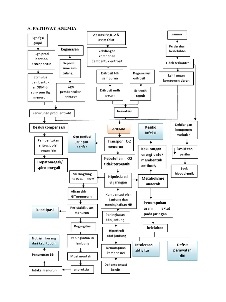 Pathway Anemia | PDF