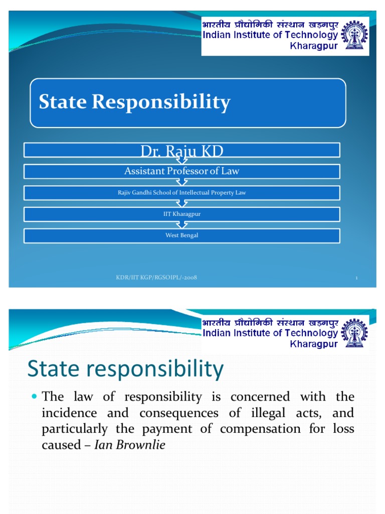 State Responsibility in International Law | PDF | Sovereign State ...