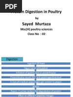 Soytide Brochure PDF | PDF
