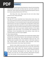 (NEW) Template Presentasi UGM 5 | PDF