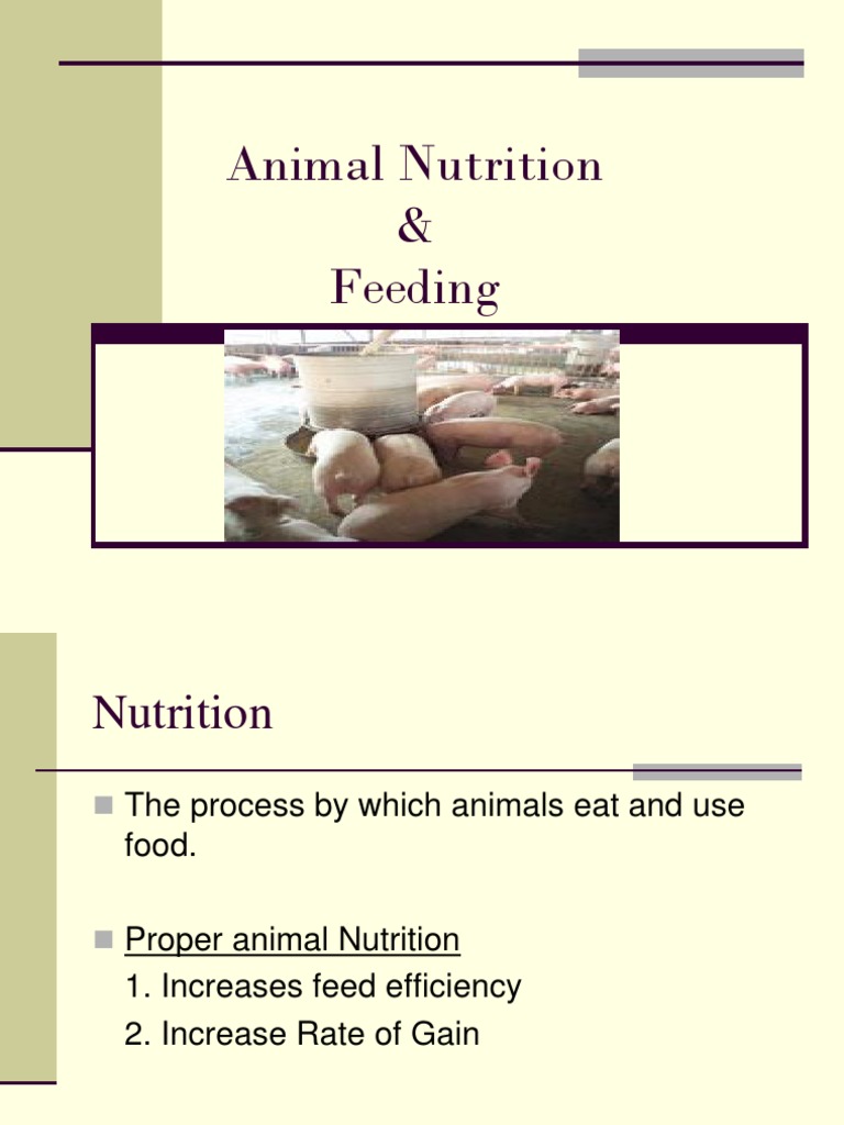 Principles of Animal Nutrition Explained | PDF | Animal Feed | Animal ...