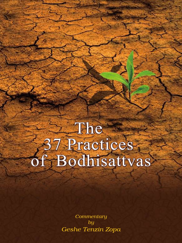 The 37 Practices | PDF | Bodhisattva | Meditation
