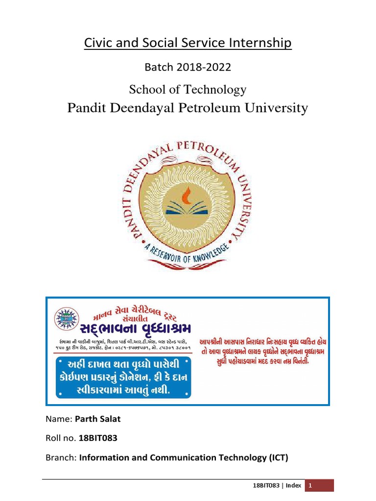 Parth Salat Report PDF | PDF