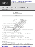 Life Sciences Grade 10 Animal Tissues Notes | PDF | Tissue (Biology ...