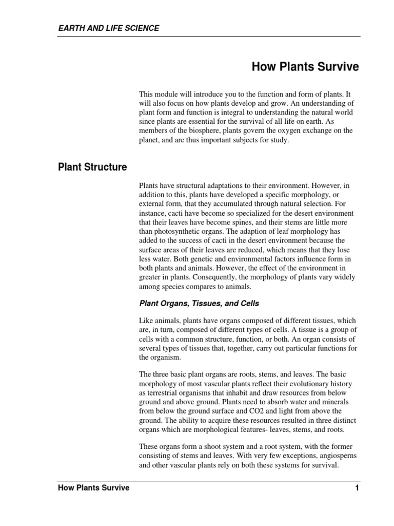 How Plants Survive | Download Free PDF | Leaf | Plant Stem