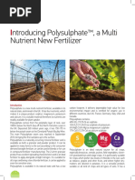 Polysulphate Fertilizer Overview | PDF | Fertilizer | Plant Nutrition
