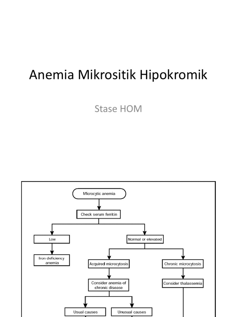 Anemia Mikrositik Hipokromik | PDF