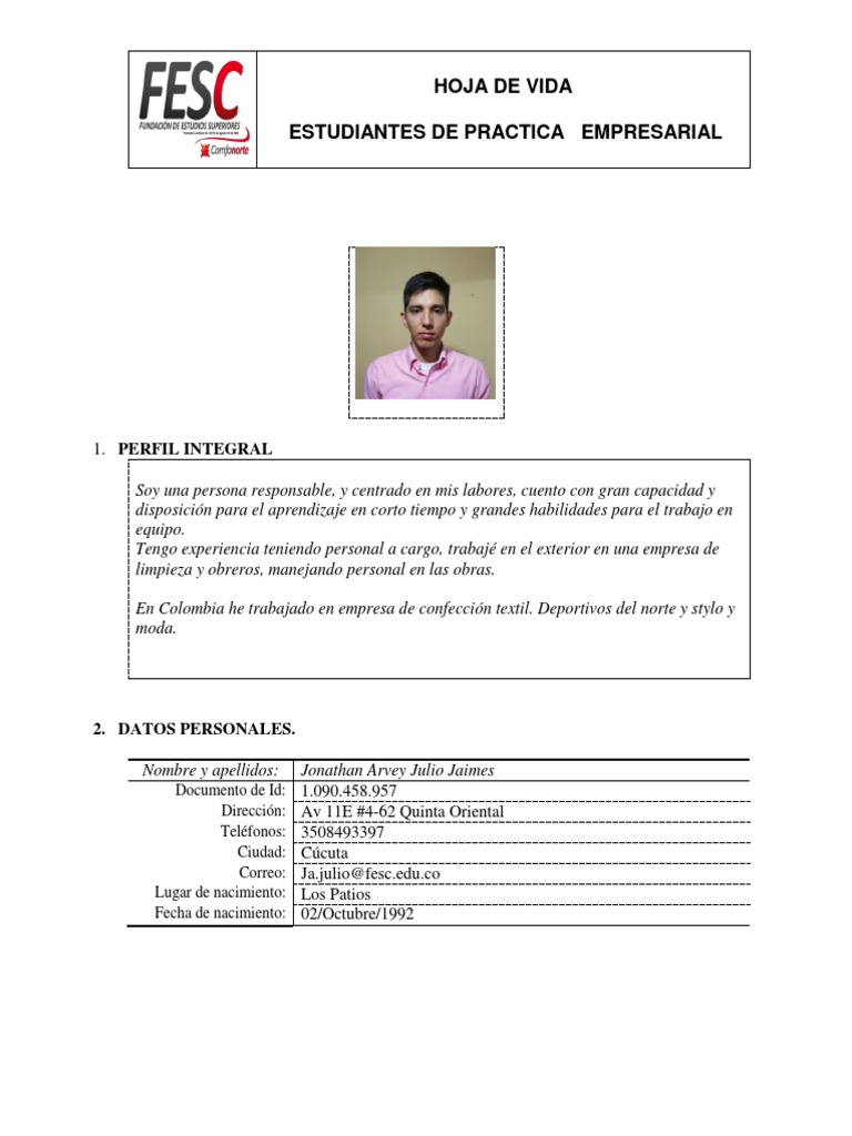 Formato Hoja de Vida - Prepráctica | PDF | Business | Economias