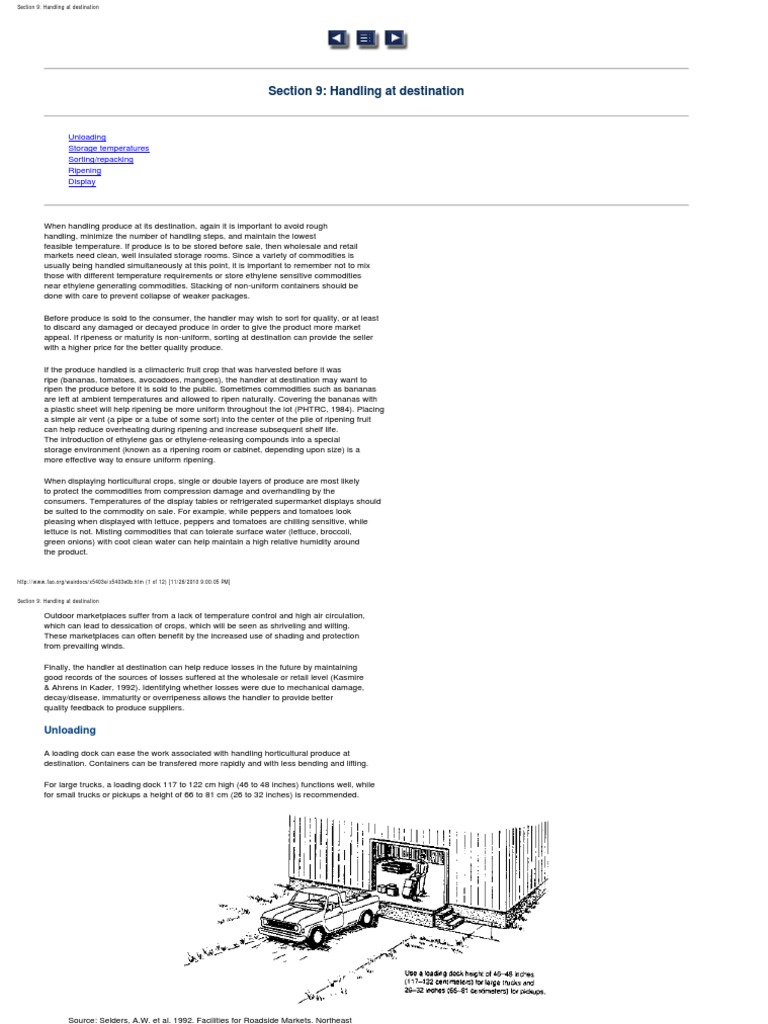 Ripe Bananas Handling at Destination | Download Free PDF | Ethylene ...