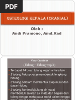 Anatomi Maksila & Mandibula | PDF