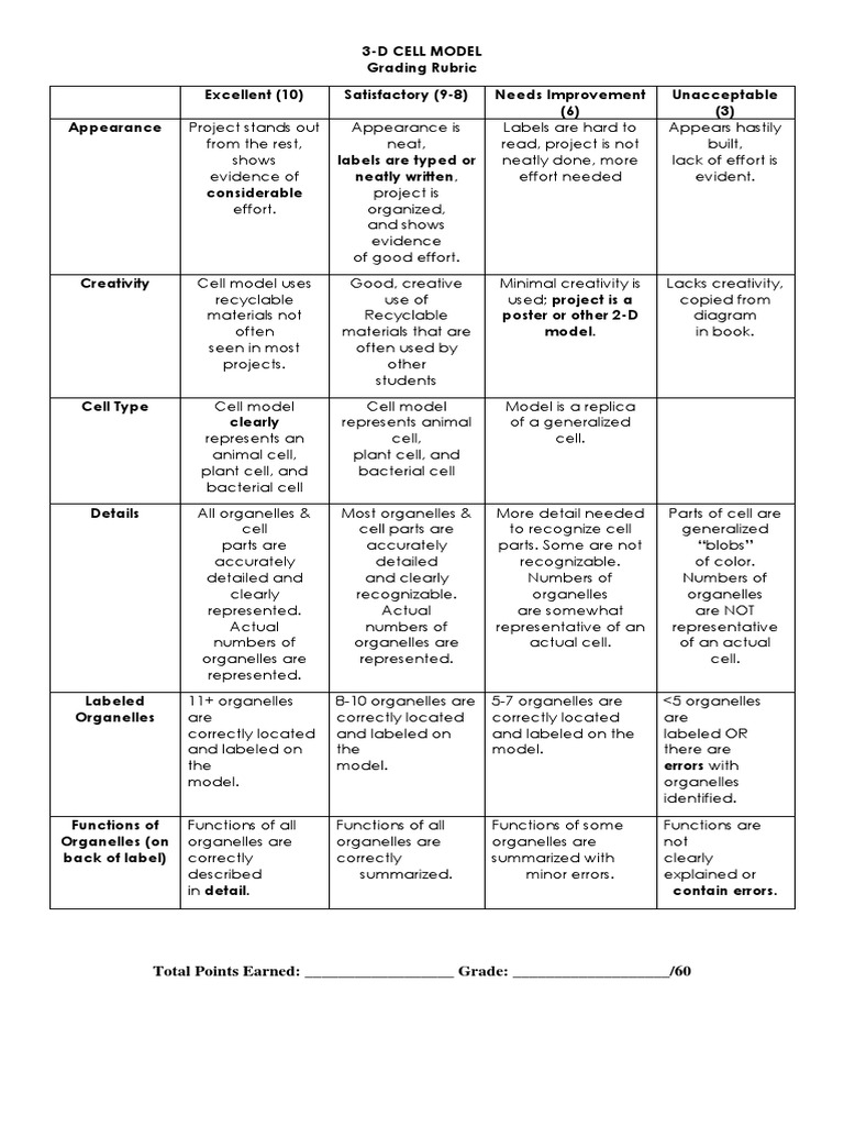 Cell Rubric | PDF | Endoplasmic Reticulum | Organelle