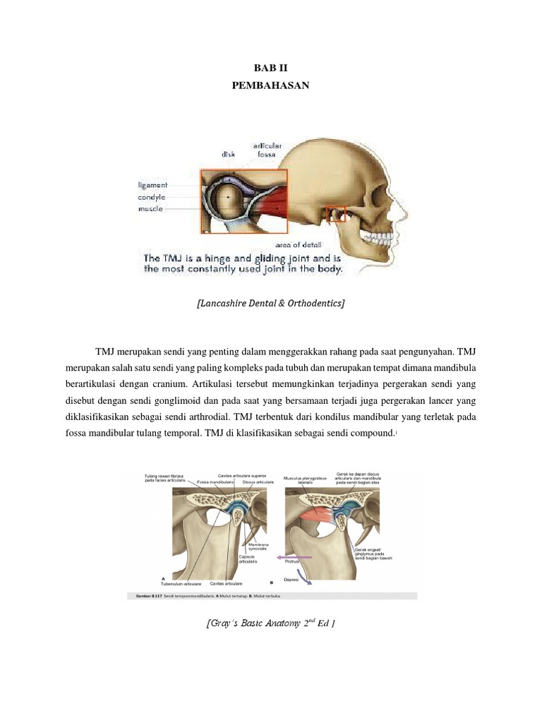 BAB II Anatomi Sendi TMJ Kel 2 | PDF