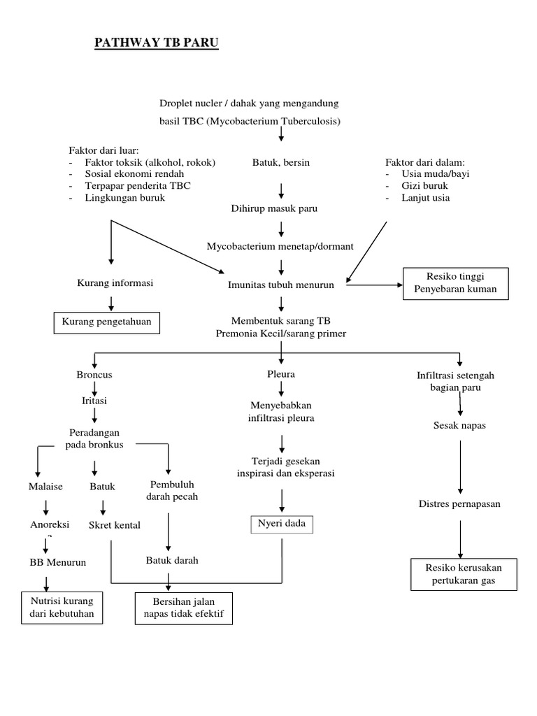 Pathway Patofisiologi TB Paru | PDF
