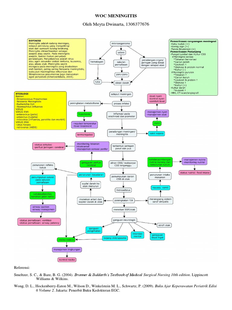 Woc Meningitis | PDF