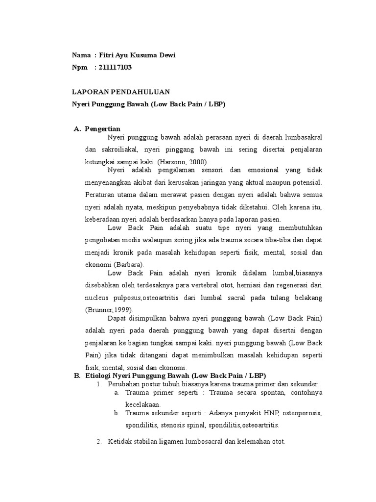 Panduan Nyeri Punggung Bawah (LBP) | PDF