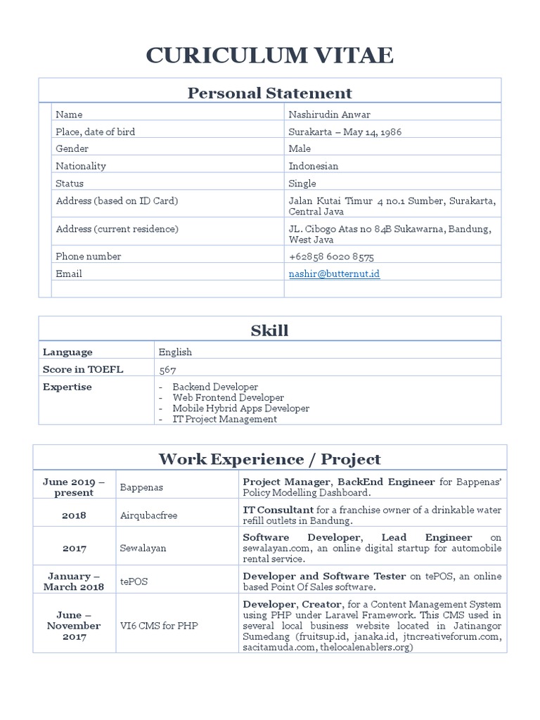 CV Mas Nashir | PDF | Web Application | Software