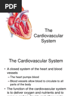 Chapter 011 | PDF | Heart | Circulatory System